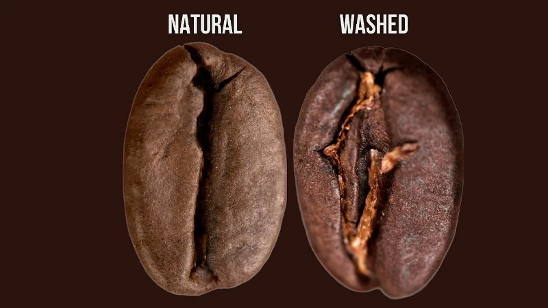 The Science Behind Washed Process Coffee: How It Affects Flavor and Quality